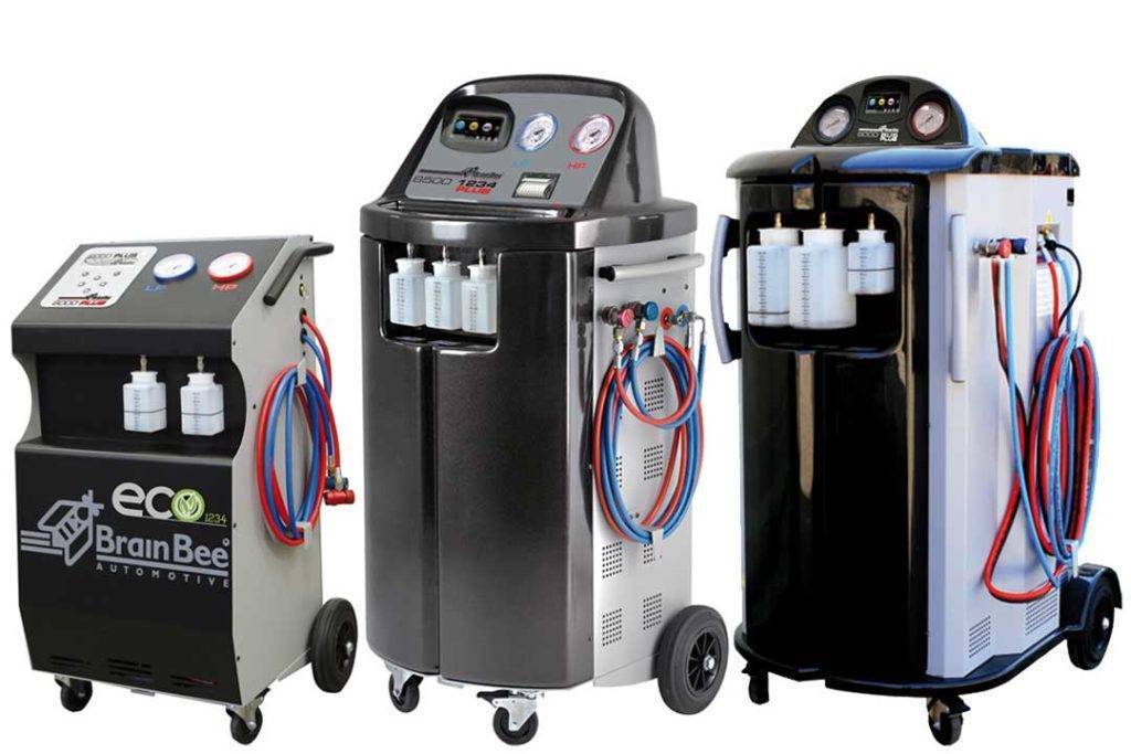 BRAIN BEE | Auto Milovanović